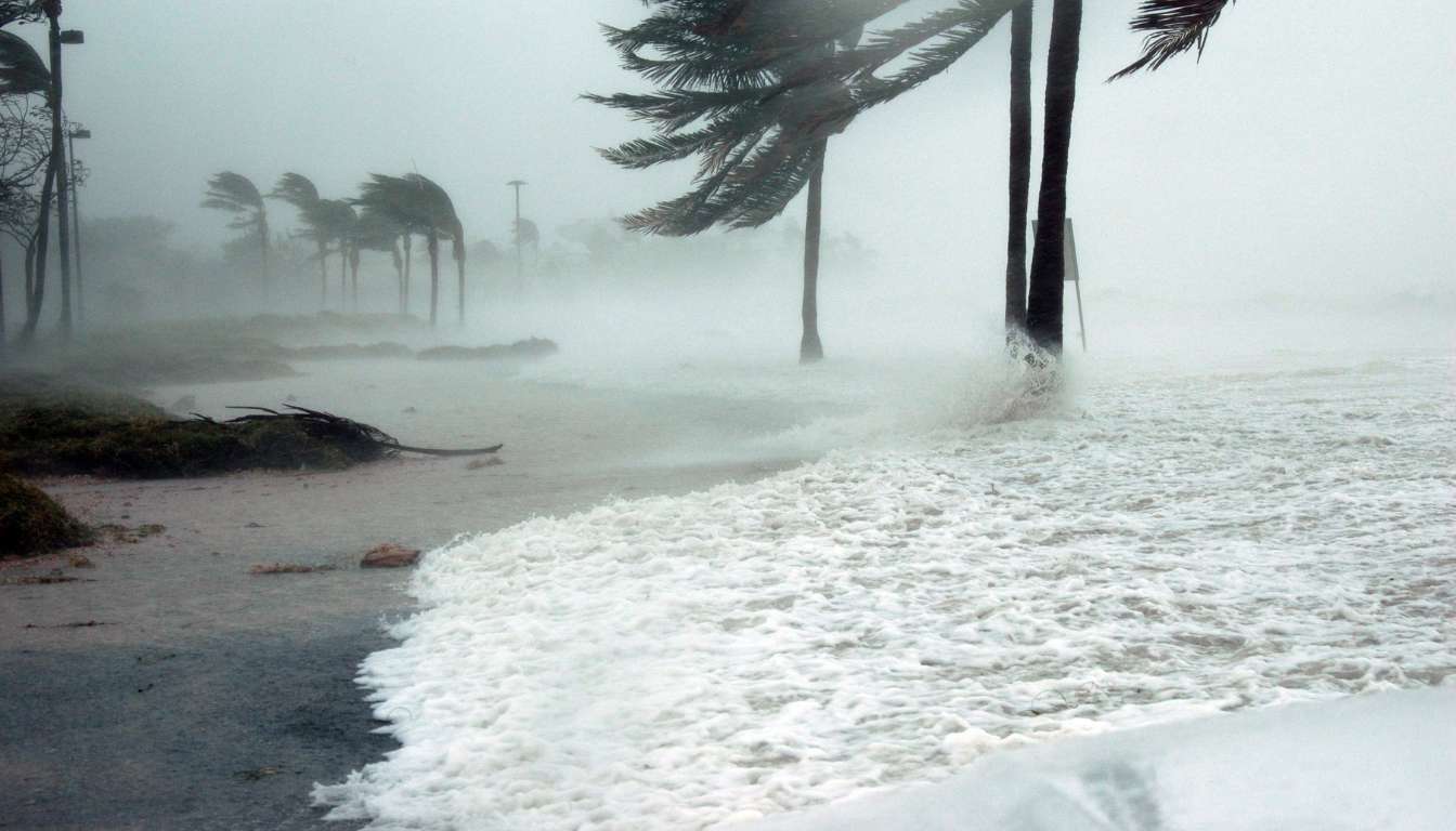 Storm Preparedness and Response | HSENation