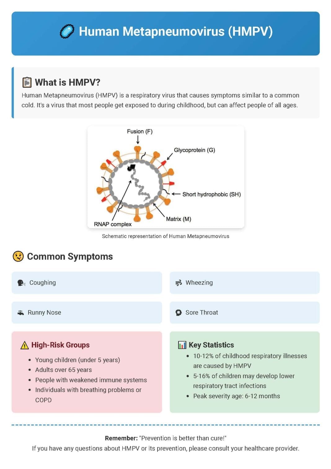 Human Metapneumovirus (HMPV) - InfoSheet | Safety Toolbox Talk ...
